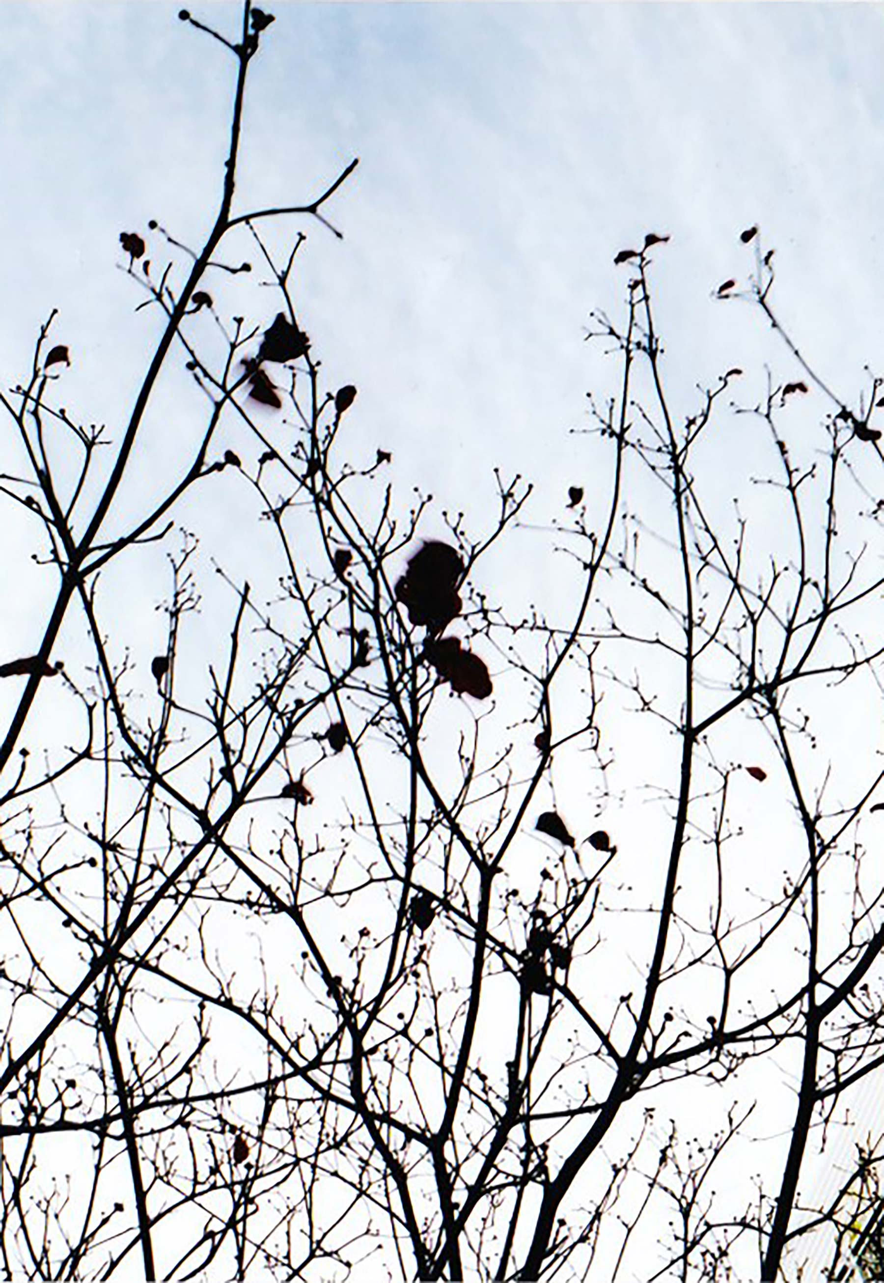 the moment | Min kyung Choi